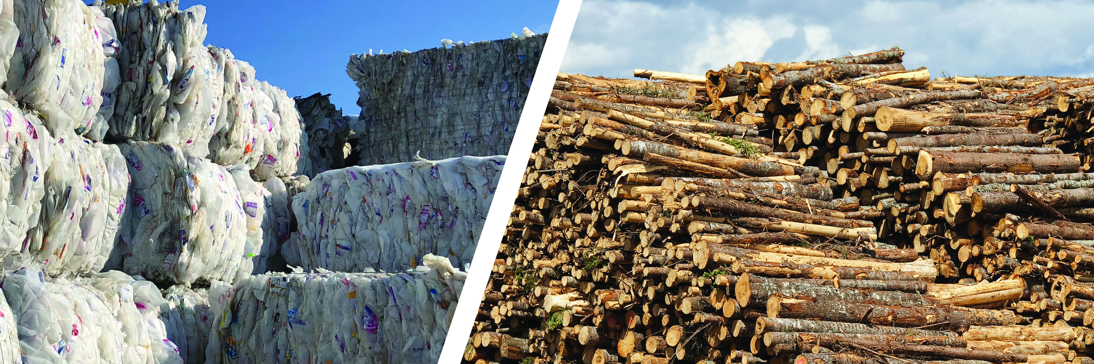 Europe Insights: Paperboard vs Plastic: A Holistic Look into the ...